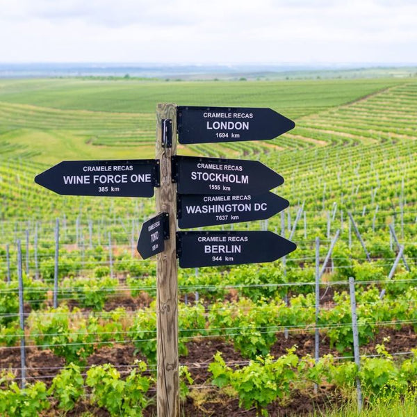 Discover the Hidden Gems of Eastern European Wines - Reserve Wines