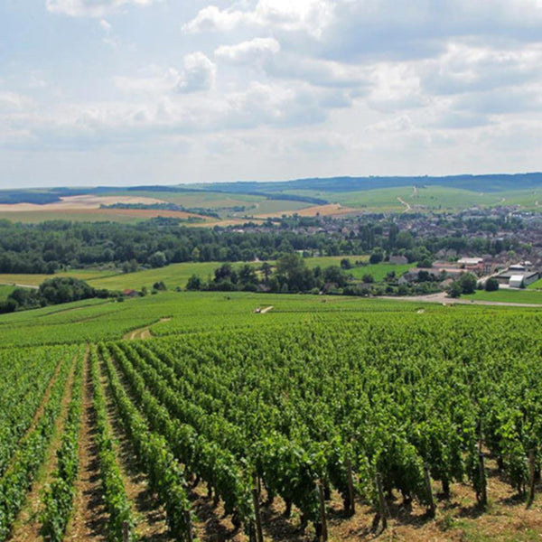 Domaine Christian Moreau, Chablis 2024 - Reserve Wines